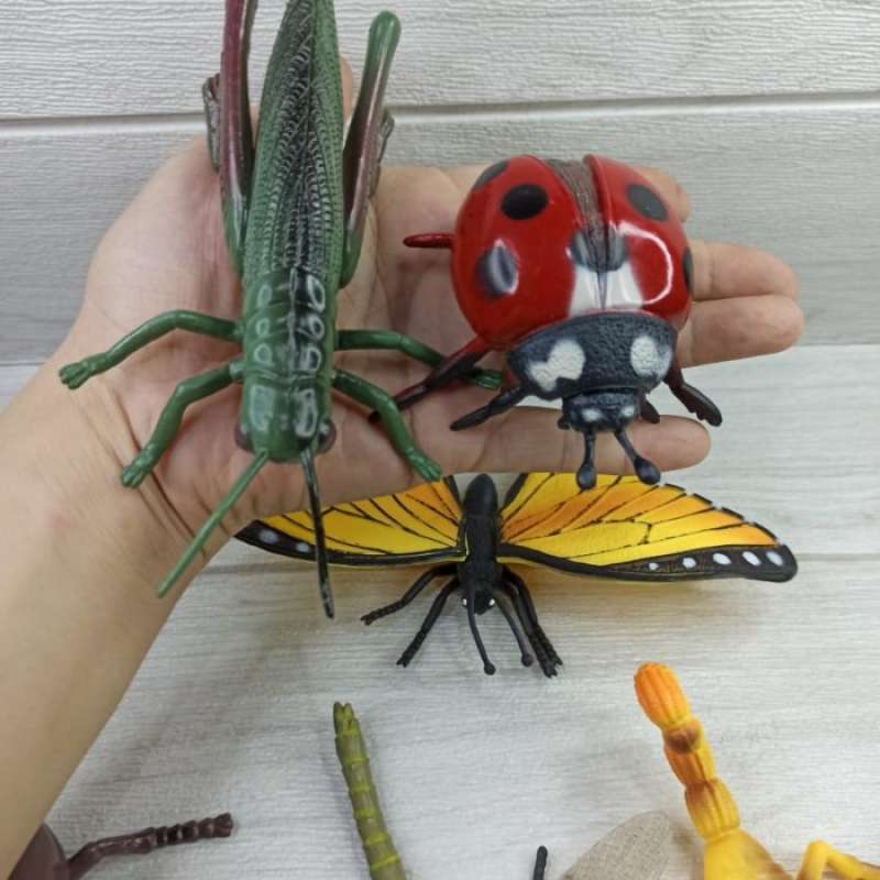 Promo Mainan Hewan Serangga Besar Isi 6 Untuk Edukasi Diskon 22% Di ...