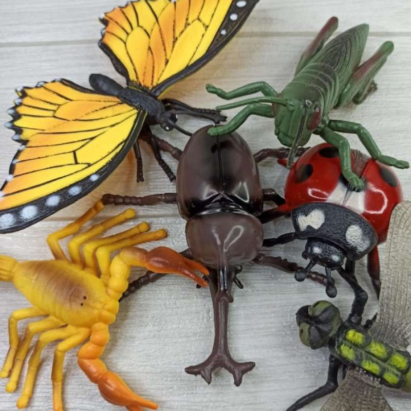 Promo Mainan Hewan Serangga Besar Isi 6 Untuk Edukasi Diskon 22% Di ...
