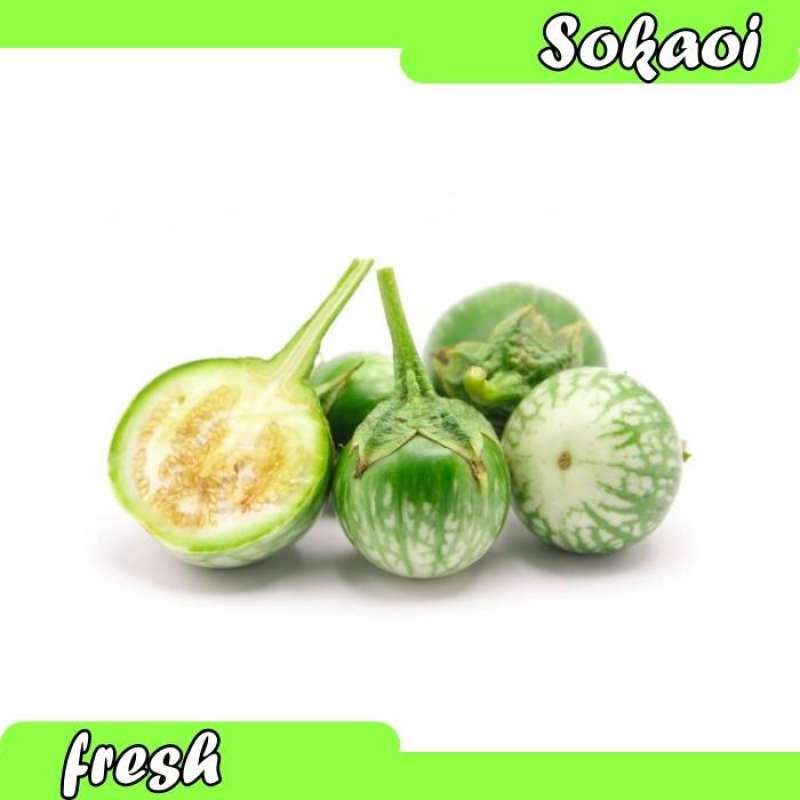 Jual TERONG BULAT TERONG HIJAU TERONG BULAT LALAPAN SAYUR SEGAR SAYURAN ...