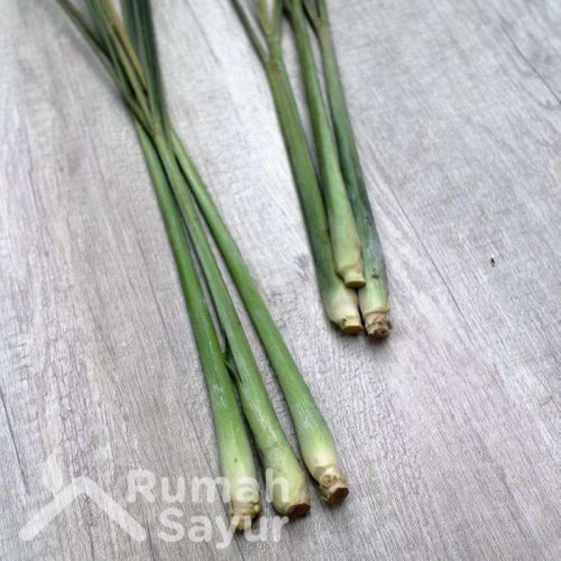 Promo Rumah Sayur Alam Sutera Sereh (Serai) Rempah Premium [250 g ...