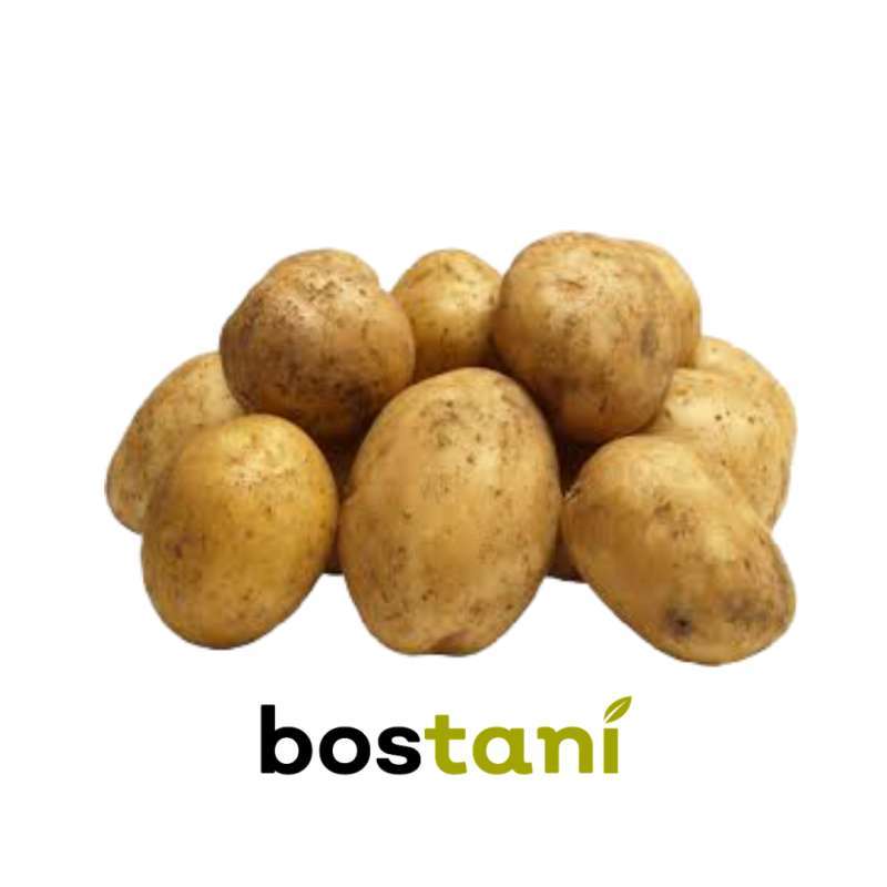 Jual Kentang Besar [250 gr] Halal di Seller Bostani - Pasirkaliki, Kota ...