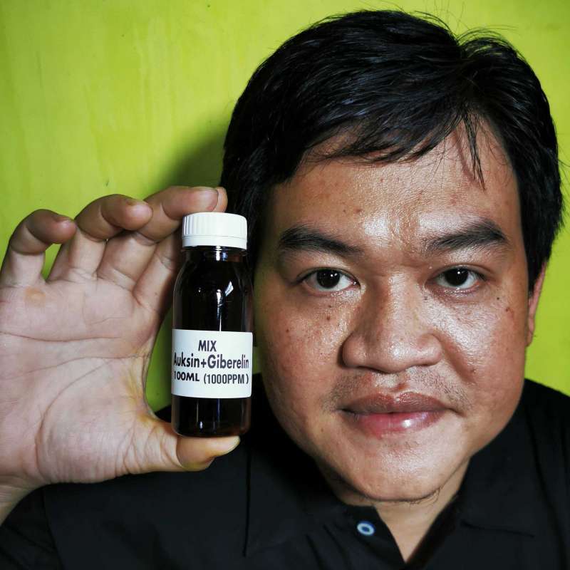Jual Hormon Tanaman Mix Auksin Giberelin 100ml Fase Generatif di Seller ...
