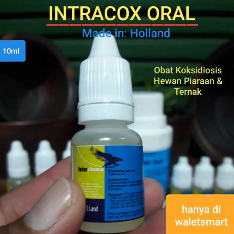 Promo Intracox Oral 10ml Obat Koksidiosis Pada Kelinci Kucing Kambing ...