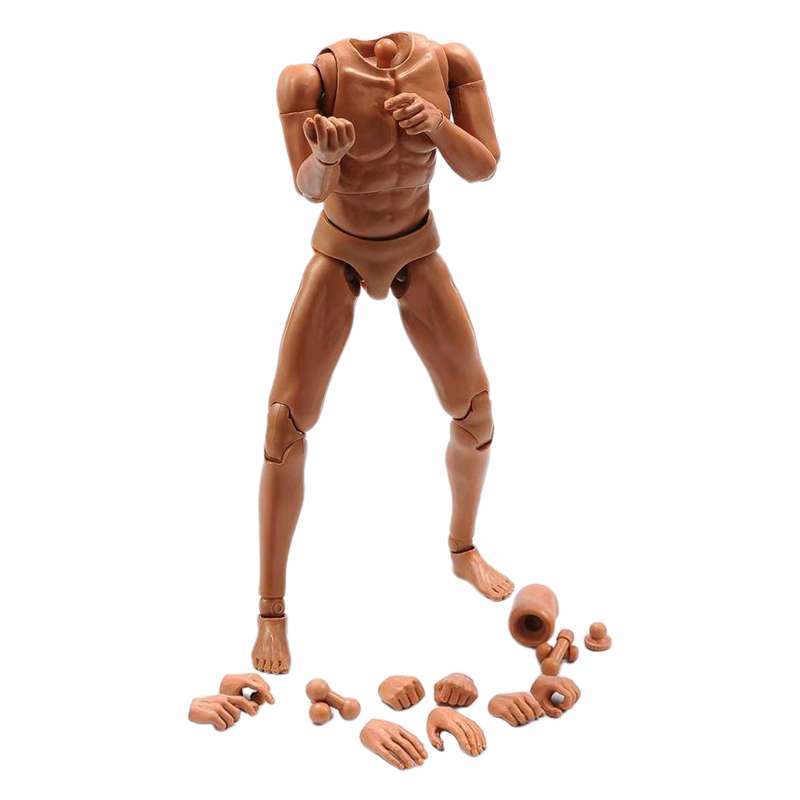Jual 1/6 Scale Moveable Joints Male Muscle Body For Ht Dam Action ...