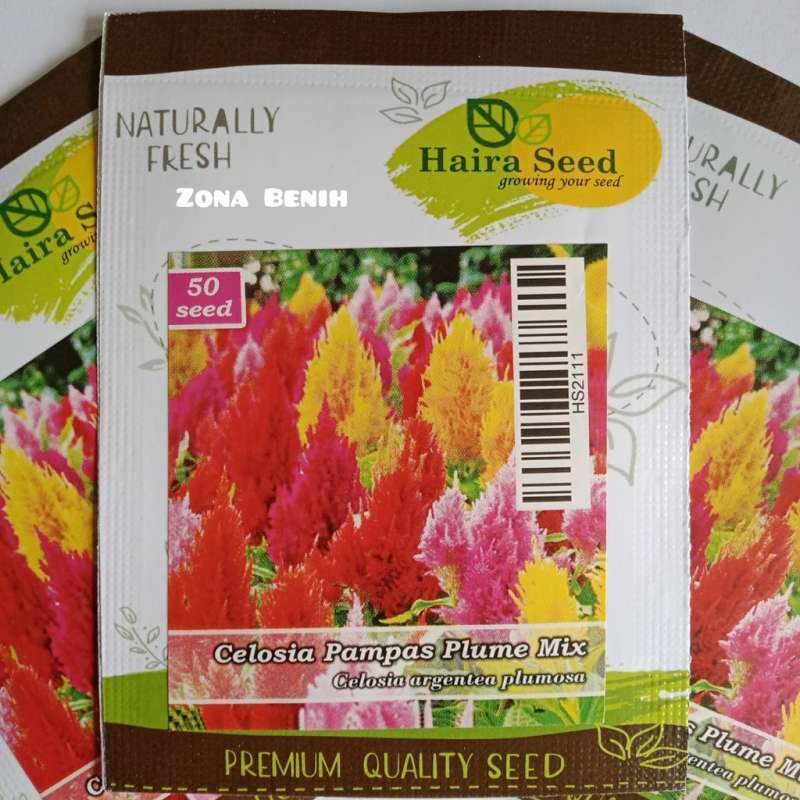 Jual Benih Bibit Bunga Celosia Pampas Plume Mix Di Seller Zona Benih21