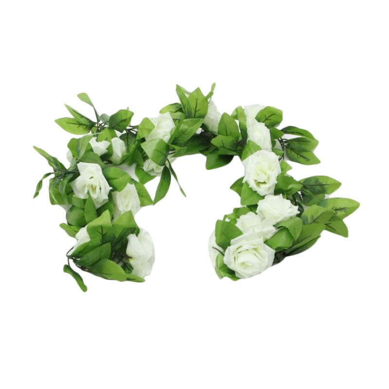 Gambar Bunga Mawar Rambat - GAMBAR BUNGA MAWAR