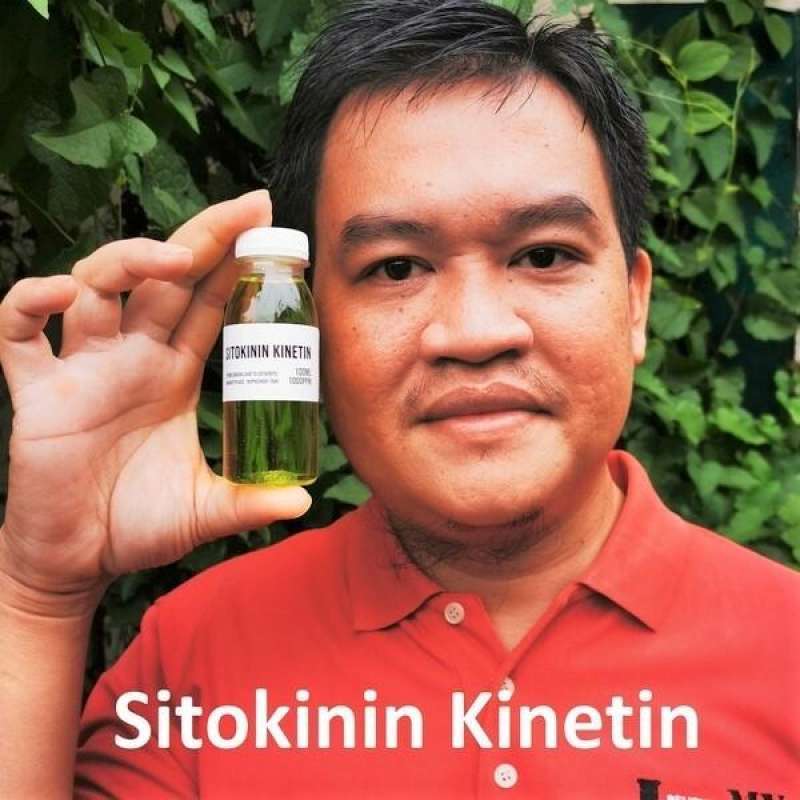 Jual Hormon Tanaman Kinetin 100ml Pembentukan Kalus Dan Pembelahan Sel ...