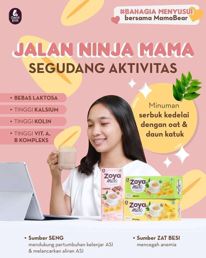 Jual 1 Box Zoya Mix Soya Mix Asi Booster Mamabear - Pelancar Asi ...