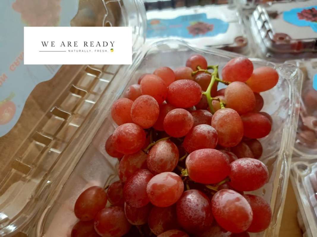 Jual Anggur Crimson RRC Seedless dan Manis (500g) di Seller we are ...