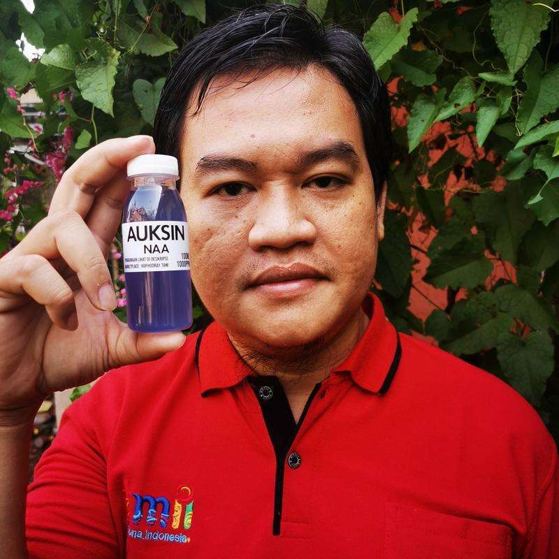 Jual Hormon Tanaman Auksin NAA 100ml Melebatkan dan Memanjangkan Akar ...