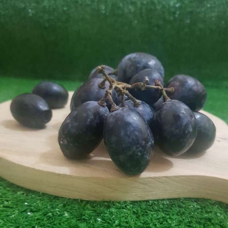 Jual Rumah Sayur Jakarta Selatan Anggur Hitam / Black Seedless Grapes ...