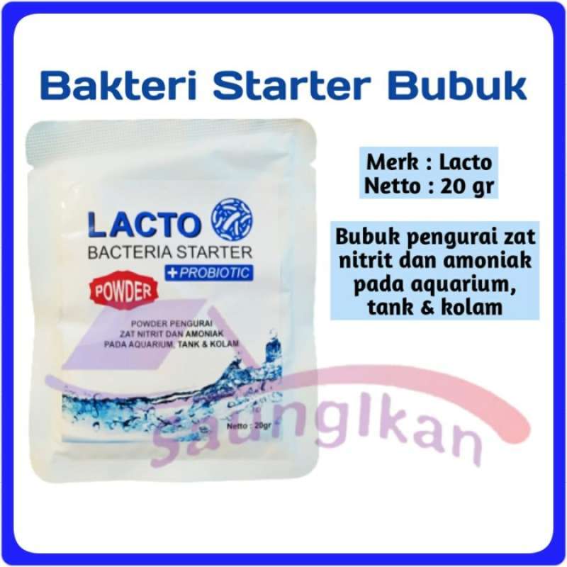 Jual Bakteri Bacteri Starter LACTO BUBUK Plus Prebiotic Aquarium ...