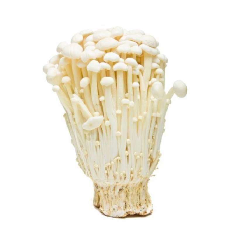 Jual Jamur Enoki per pack Halal di Seller AamiintMart - Sukaraja, Kota ...