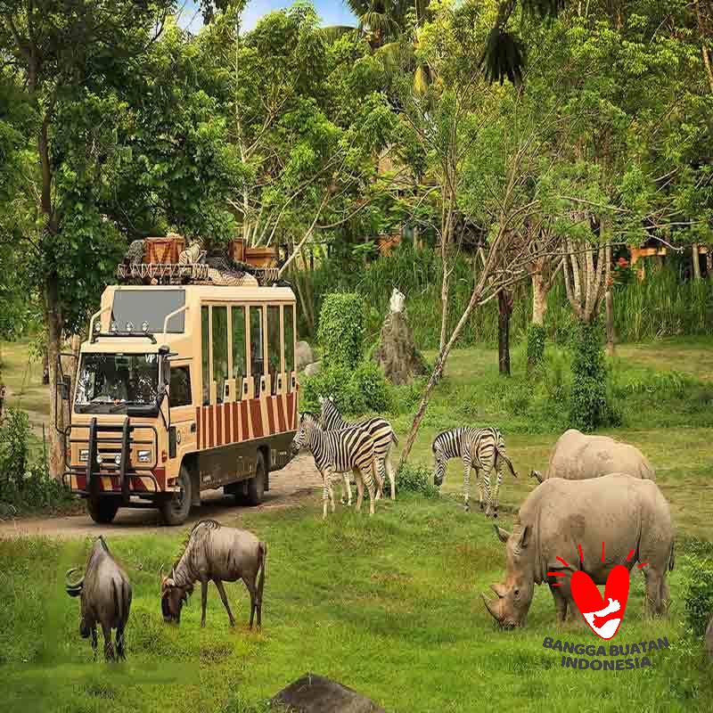 Jual Bali Safari Park E-Ticket [Safari Explorer] - - Dewasa - di Seller ...