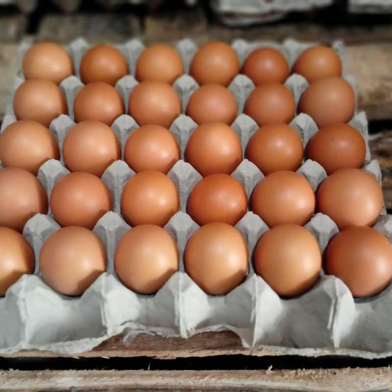 Jual 2AA-Sembako Telur Ayam Negeri [1 kg] Halal di Seller 2AA-Sembako ...