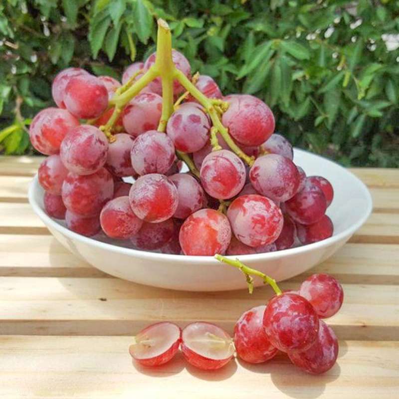 Jual Buah Anggur Red Globe Fresh dan Manis 1kg di Seller Good Frozen ...