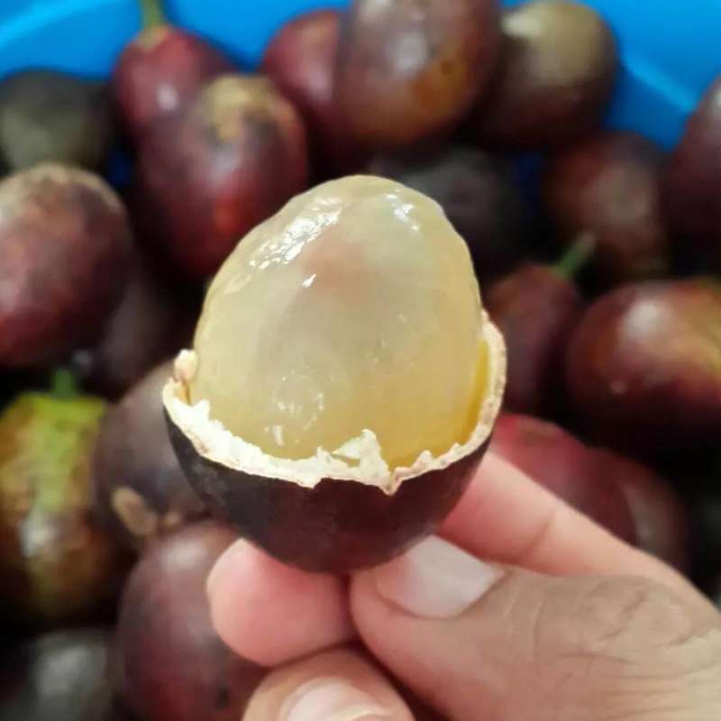 Promo 1kg Buah Matoa Manis Khas Papua Diskon 3% di Seller Good Frozen ...