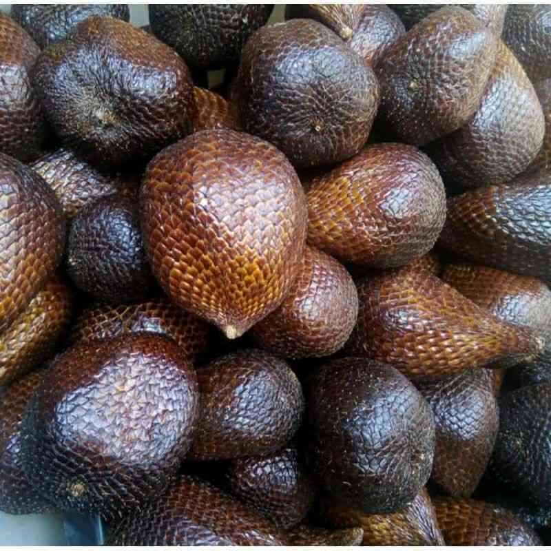 Jual Buah SalaK Pondoh 1 Kg / Salak Segar di Seller SAJIRA FARM ...