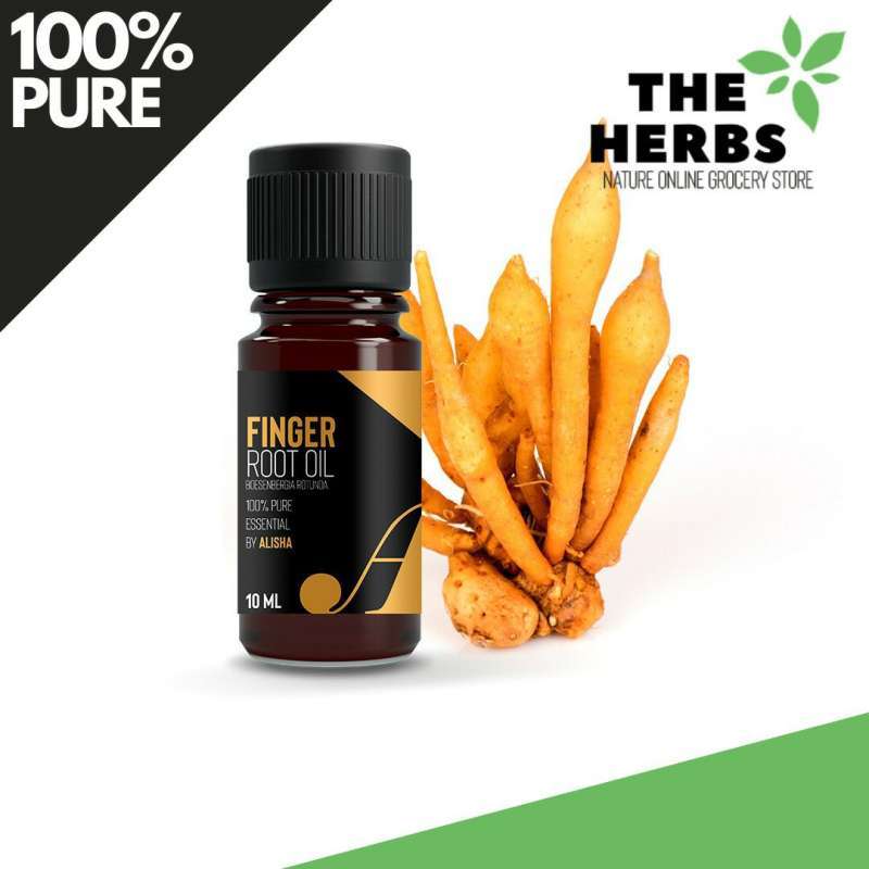 Jual Finger Root Essential Oil Minyak Atsiri Temu Kunci Murni Di Seller ...