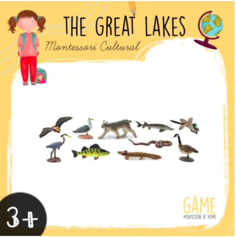 Jual Safari Ltd The Great Lakes Toobs (cards) Di Seller Game Montessori ...
