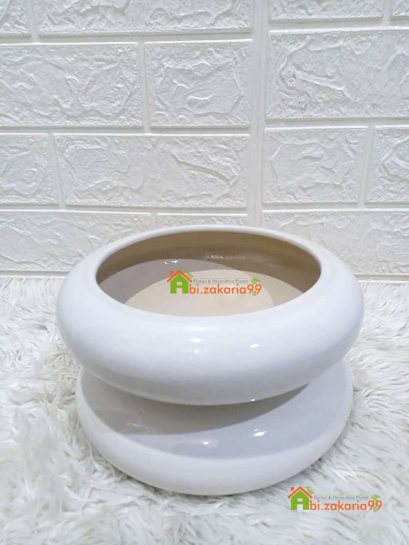 Jual POT KERAMIK TANAMAN HIAS BAMBU HOKI /BAMBU REJEKI/ LUCKY BAMBOO ...