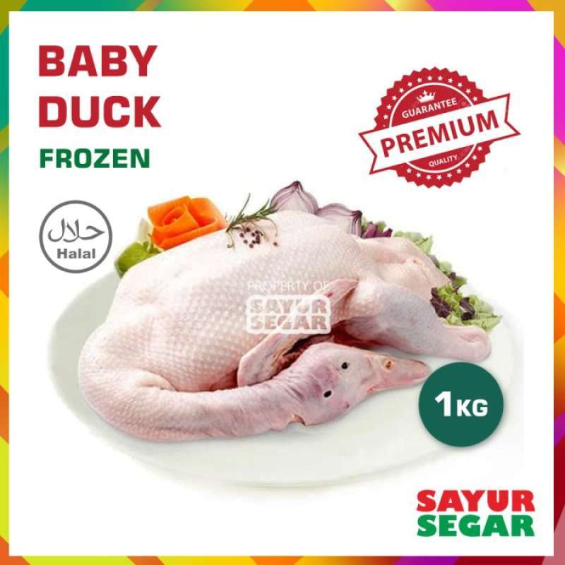 Jual Bebek Peking Frozen Kg Termurah - Harga Grosir Terupdate Hari Ini ...