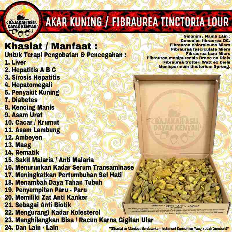 Jual BAJAKAH AKAR KUNING 100gr - FIBRAUREA TINCTORIA - AKAR BAJAKAH ...