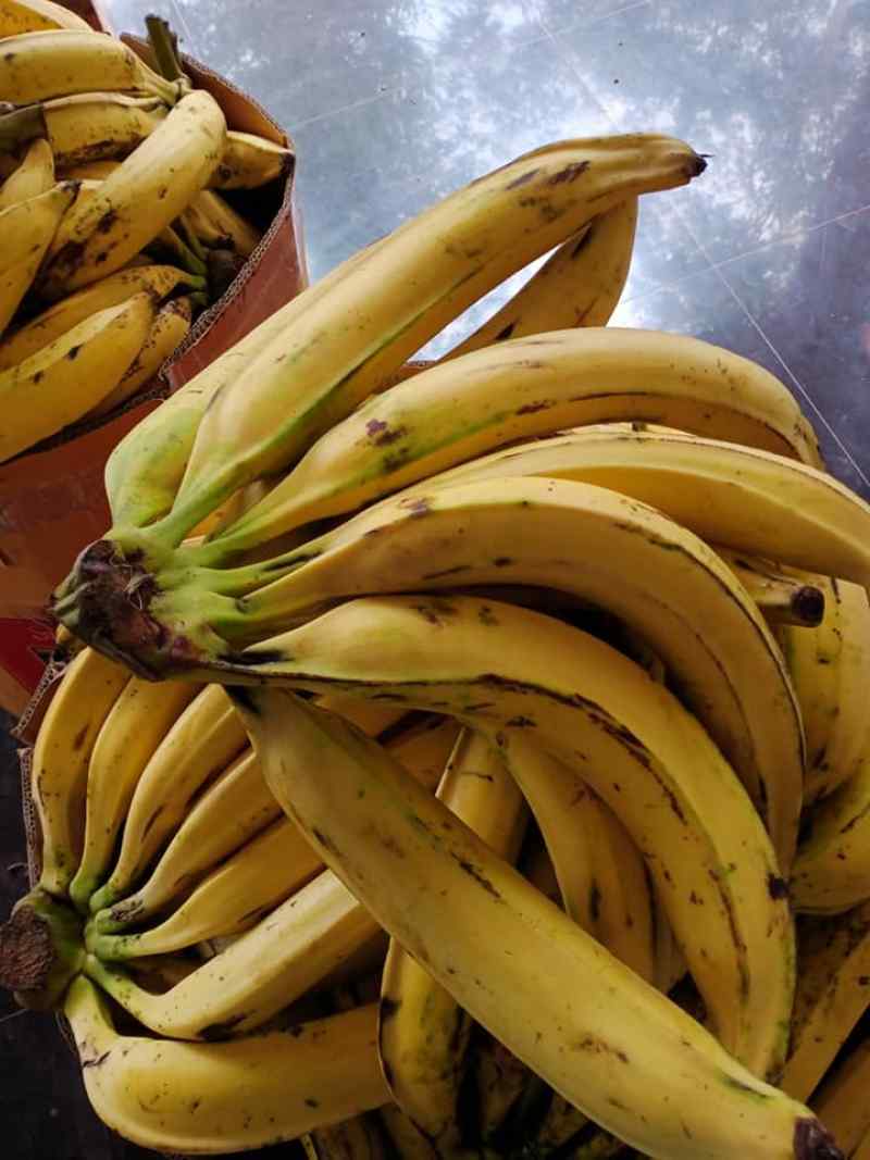 Oleh - Oleh Khas Lumajang Yang Wajib Kalian Bawa Pulang - Destinasi ...