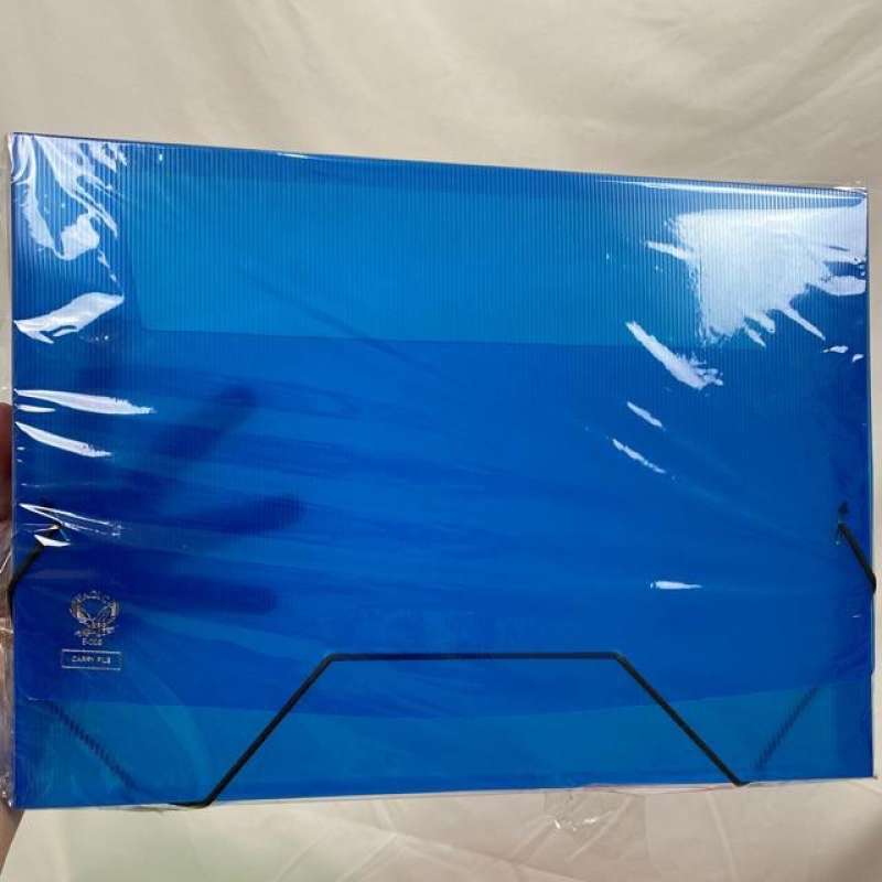Jual Carry File Banded Carry Case Box Map Plastik Tenteng Folio Eagle ...