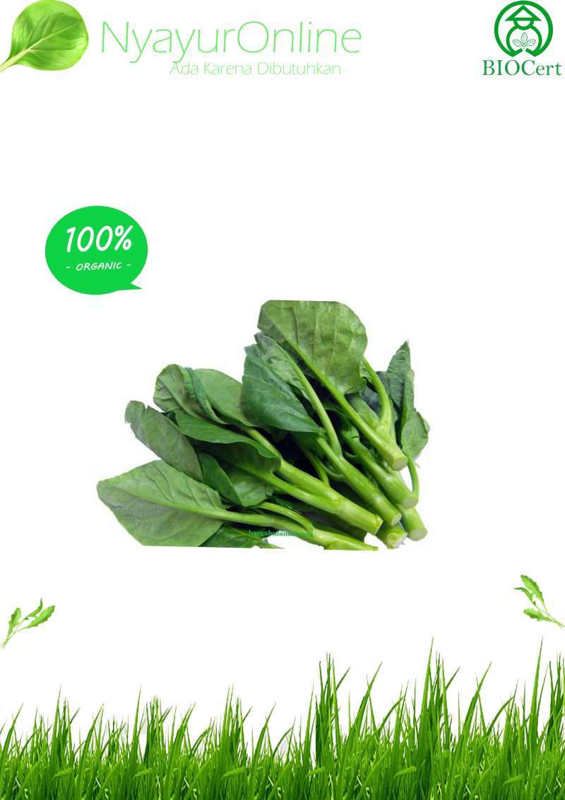 Jual Sayuran Kailan Organik 200 gram di Seller Nyayuronline - Kembangan ...
