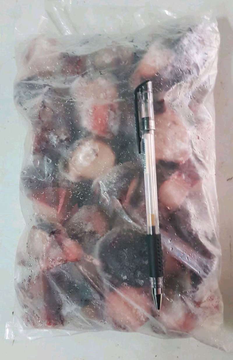 Jual Gurita Tako Leg Cooked 1 kg Halal di Seller Rejeki Melimpah ...