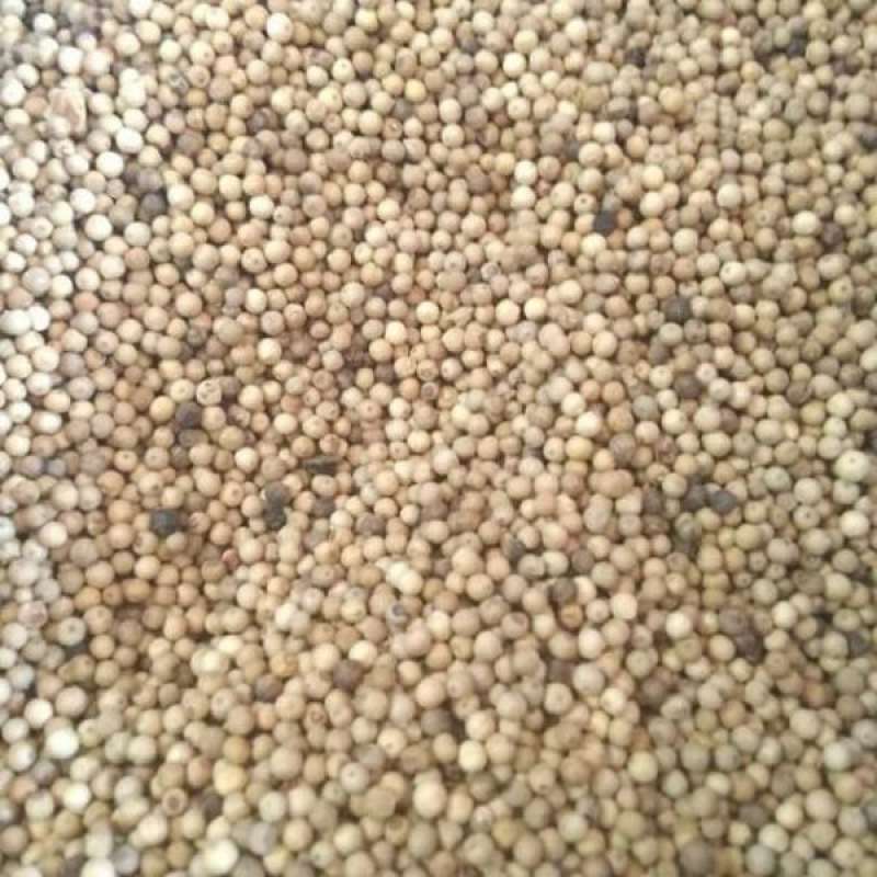 Jual merica butir lada - 100 gram di Seller Enka Online - Tompo Balang ...