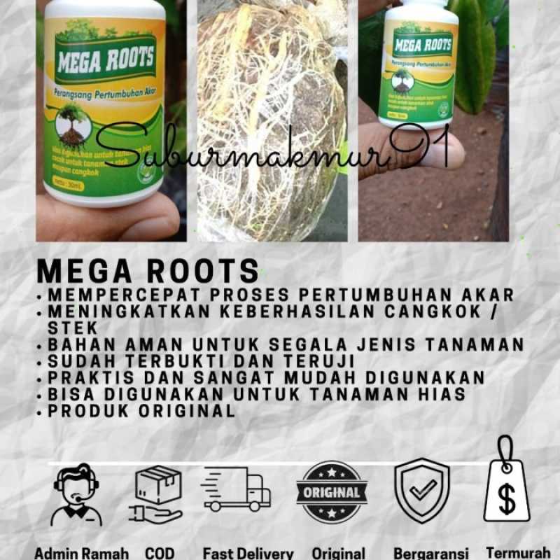Jual Mega Roots - PENUMBUH AKAR bibit tanaman buah - hias benih biji ...
