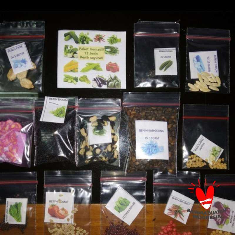 Jual Bibit Pohon Menteng Jumbo - Buah Menteng - Tanaman Menteng Besar ...