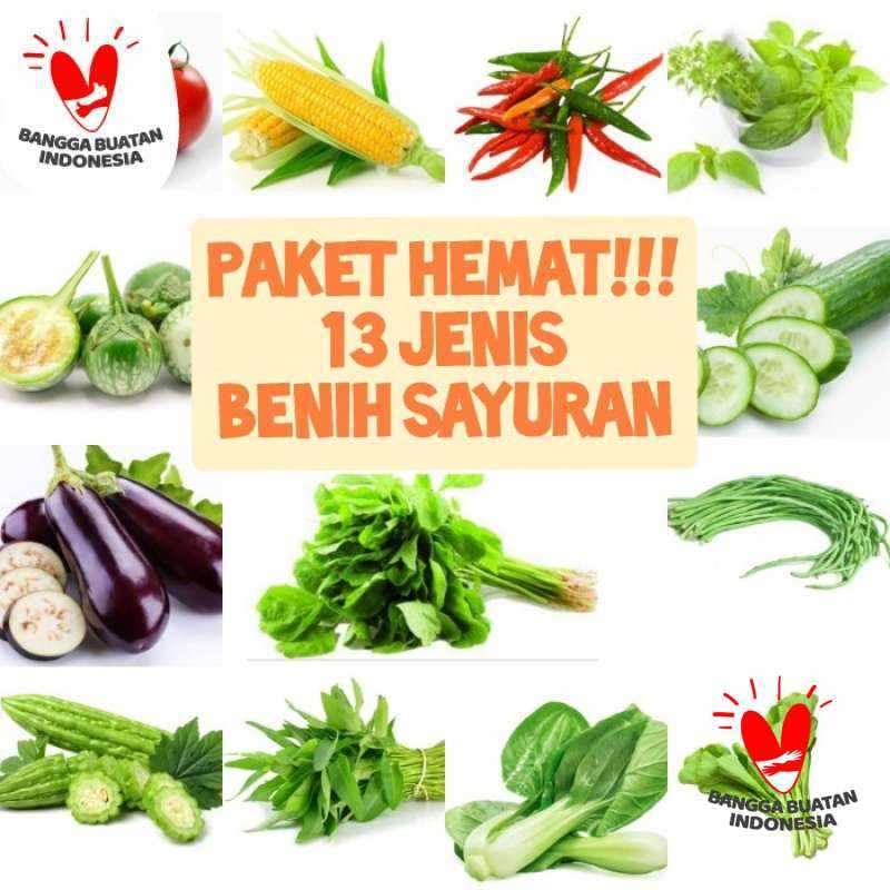 Jual Bibit Pohon Menteng Jumbo - Buah Menteng - Tanaman Menteng Besar ...