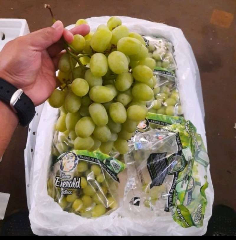 Jual buah anggur hijau seedless import 500g Halal di Seller Aneka buah ...