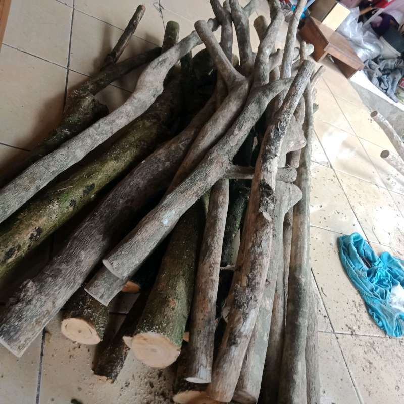 Jual kayu kopi anggrek panjang 100 cm diameter 2 - 4 cm random di ...