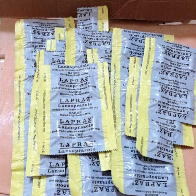 Jual Lapras Original Harga Termurah Maret 2024 | Blibli