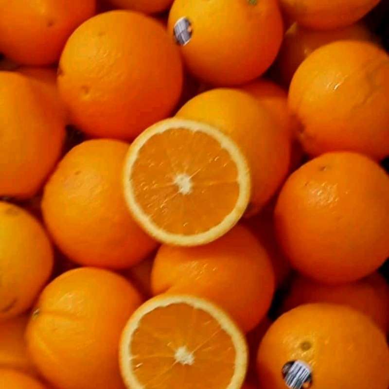 Jual Buah Jeruk Sunkist Navel 1kg di Seller Clarif_jaya - Cengkareng ...