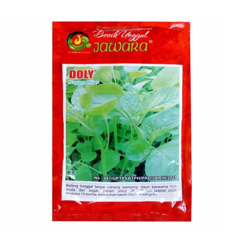 Jual Jawara Benih - Bibit Bayam Hijau Doly [50 g/ Bisa hidroponik] di ...