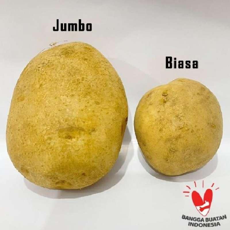 Jual Kentang Dieng Ukuran Jumbo per 1000 gram (1Kg) di Seller yezbozz ...