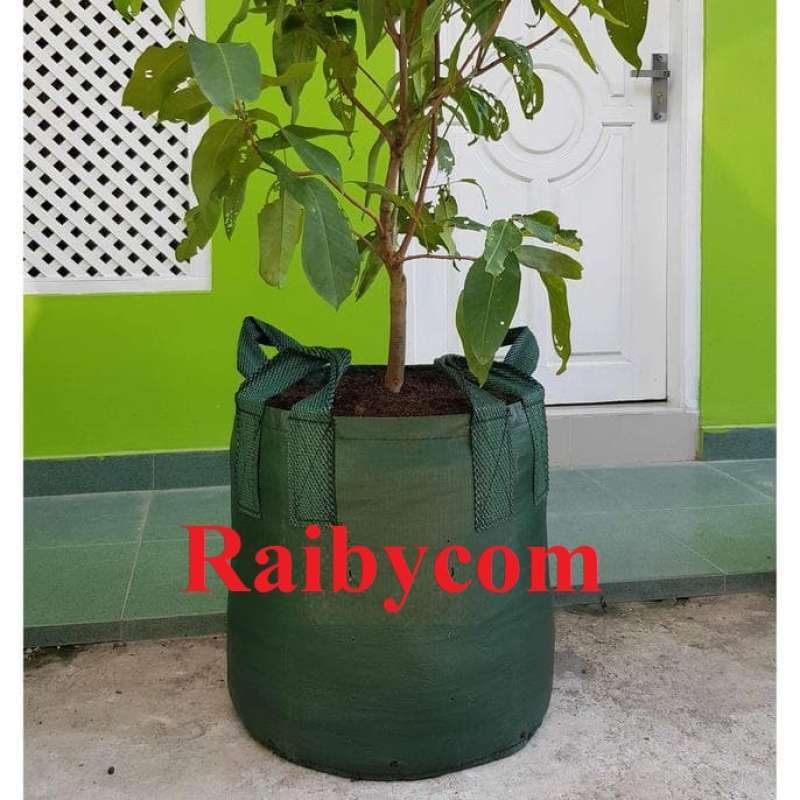 Baga Pohon Buah Lepas Dari Purwakarta, Daerah Ini Jadi Penghasil