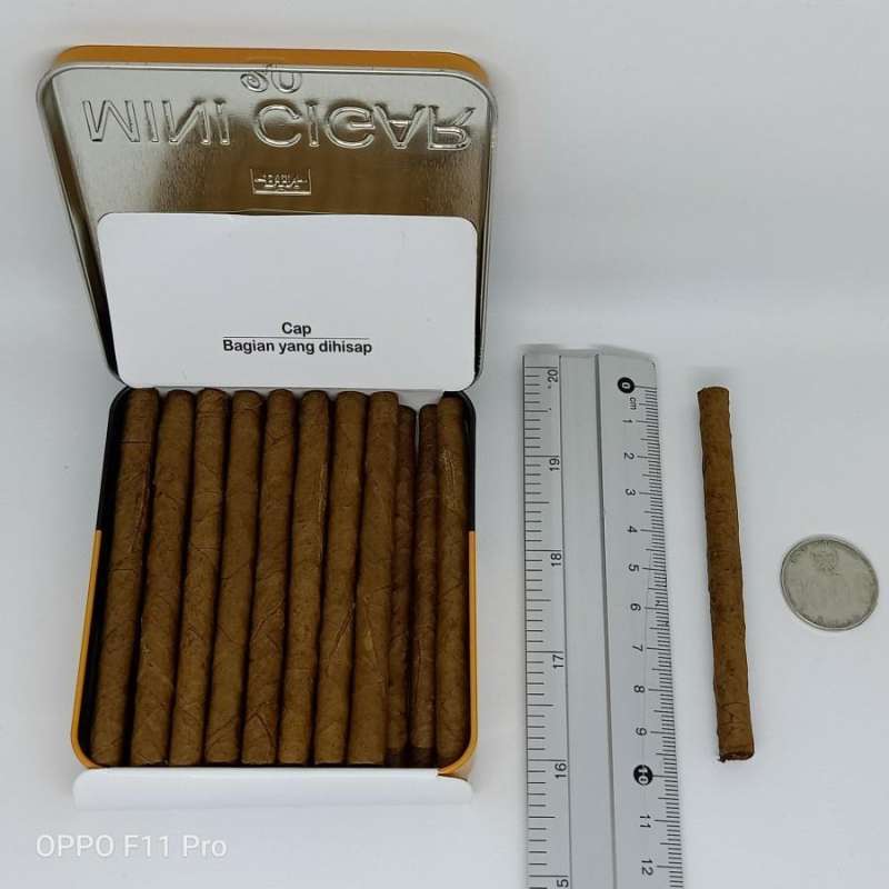 Jual BIN Mini Cigar Cigarillos Kemasan Tin Kaleng isi 20 Batang di ...