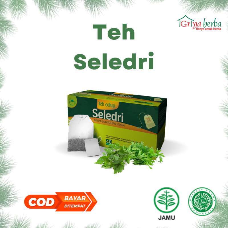 Jual Griya Herba Teh Celup Herbal Daun Seledri Obat Hipertensi Membantu ...