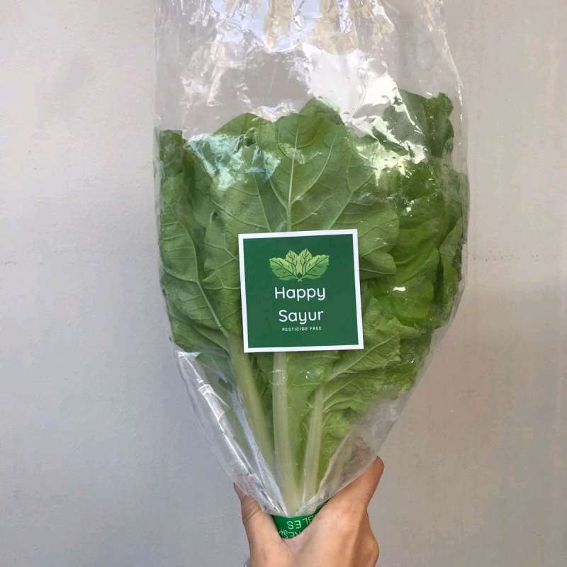 Jual Sawi Samhong Hidroponik Halal di Seller happysayur - Pegadungan ...