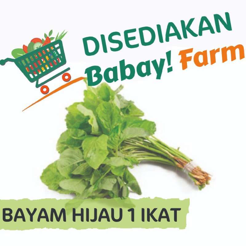 Jual Bayam Hijau Kg 💯 Harga Murah & Kualitas Terbaik April 2025