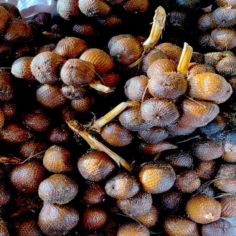 Jual Salak Gula Pasir Rajanya Buah Denpasar [ 1 kg ] Halal di Seller ...