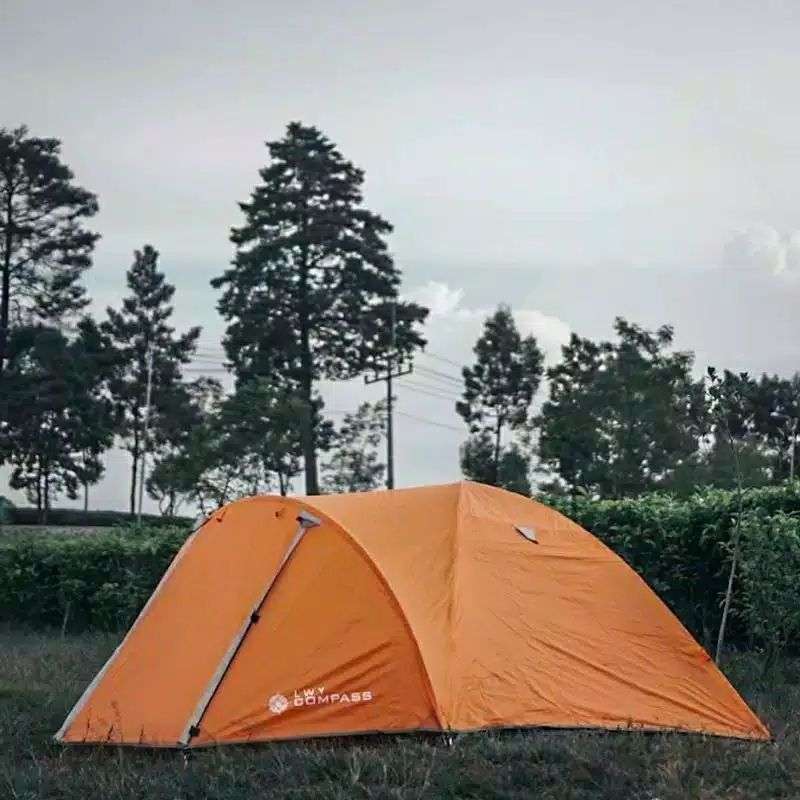 Jual Lwy Compass Original Terbaru - Harga Promo Murah April 2024 | Blibli