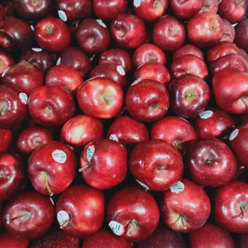 Jual Apel Merah [1 Kg] | Buah Segar Bandung Di Seller Indriastw - Mekar ...