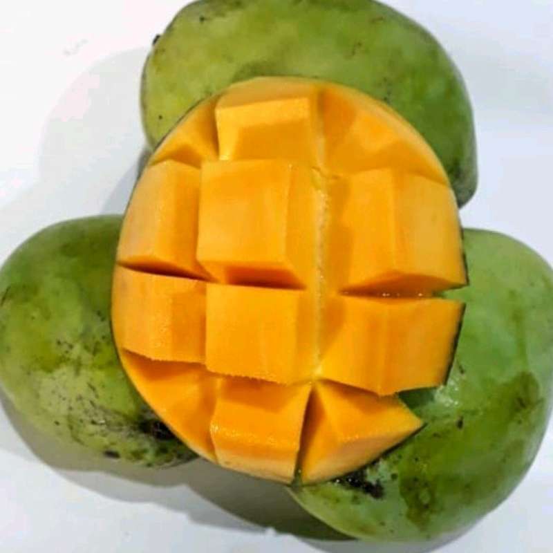 Jual Mangga Cengkir Mateng 1kg Buah Segar Bandung Termurah Halal di ...